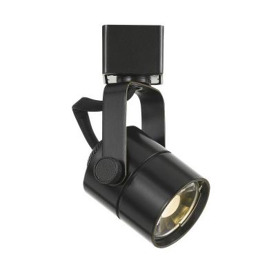 Cal Lighting :: Products :: Ceiling / Hardwired Fixtures :: Track ...